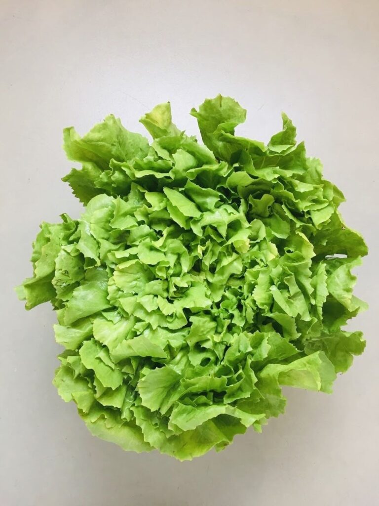 Andijvie koken, invriezen & andere tips - Aan tafel bij Anna